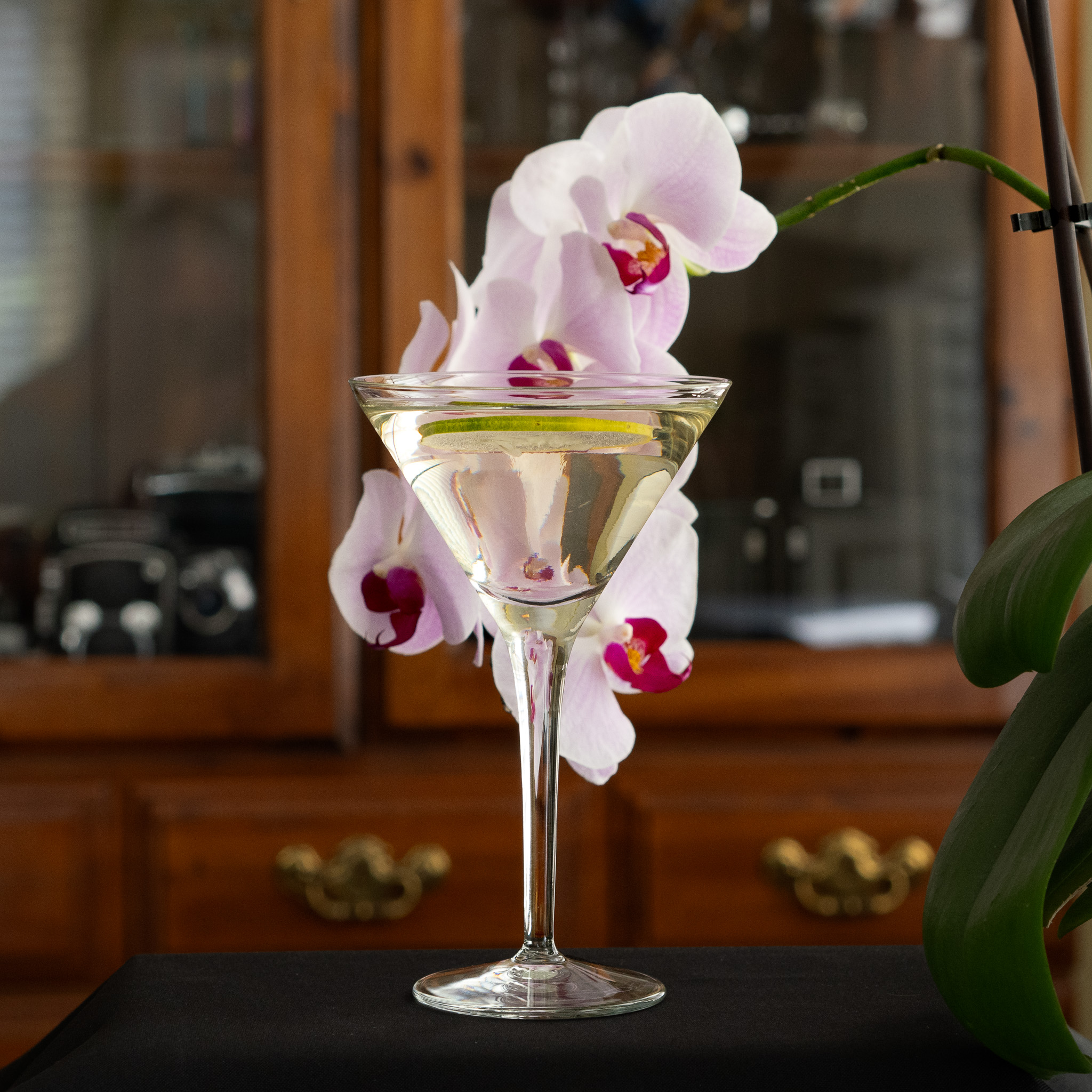 Cocktail of the Week: The Geisha Martini | The Libation Lounge